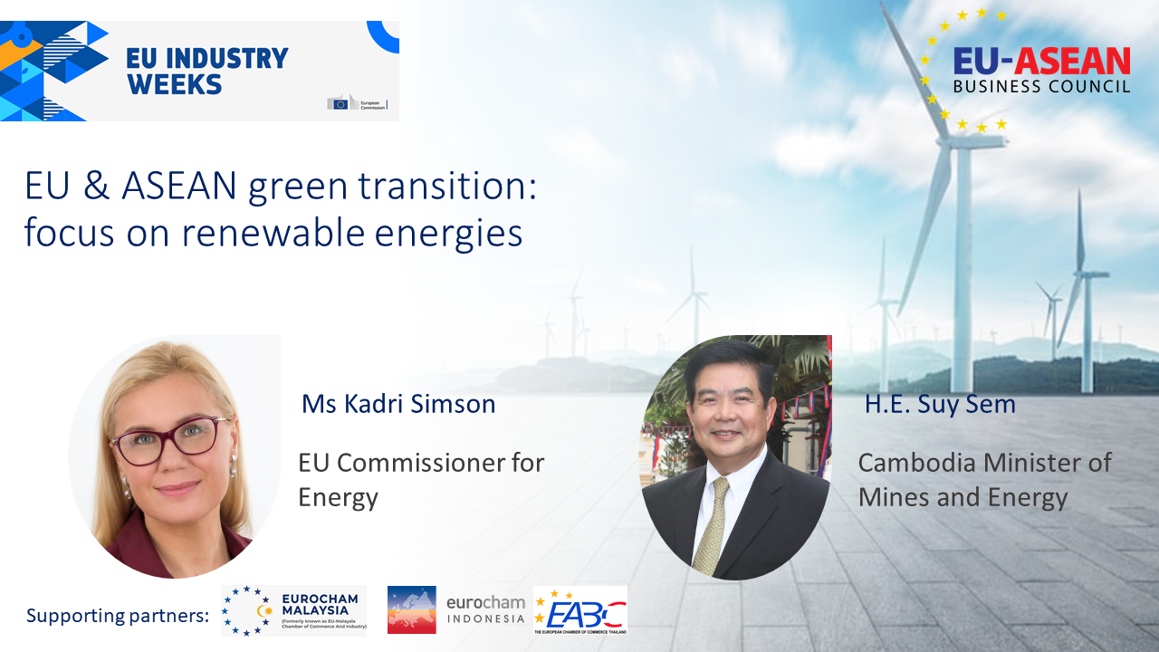 Supporting Partner: EU & ASEAN Green Transition: Focus On Renewable ...